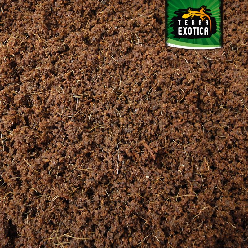 Substrato de Coco - 650g - Terra Exotica - Vivum